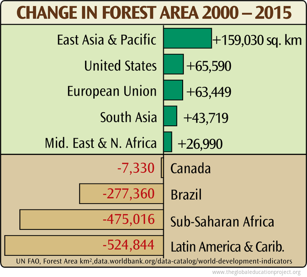 Chart of Change in Forest Area by Region - The Global Education Project