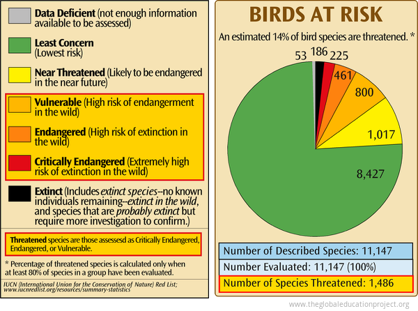 Ecology Climate Change, Deforestation, Biomes and Ocean Currents ...