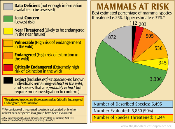 Chart of Mammals at Risk of Extinction - The Global Education Project