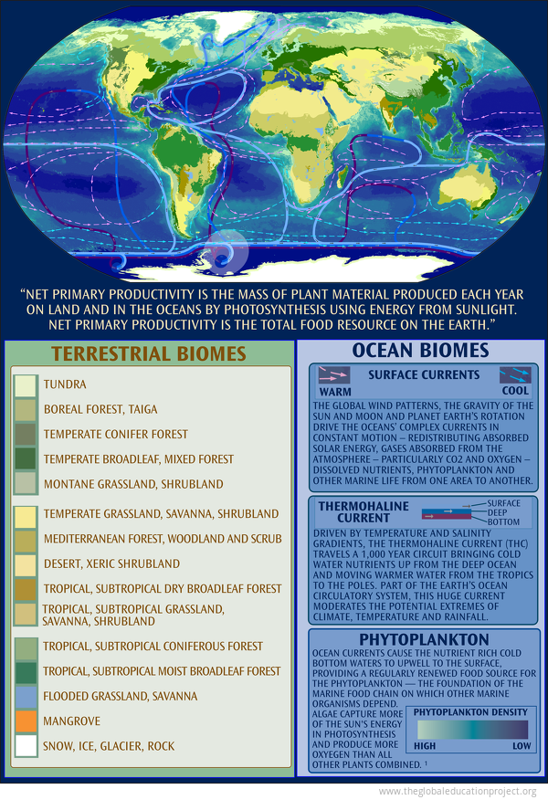 Map of Terrestrial and Ocean Biomes - The Global Education Project