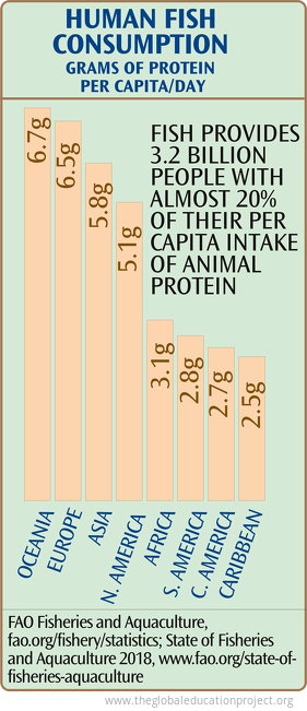 Chart of Fish Consumption By Region - The Global Education Project