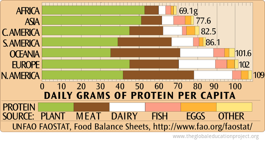 Chart of Protein Sources by Region - The Global Education Project