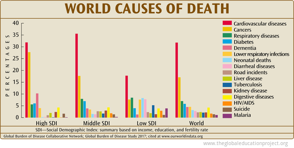 Chart of World Causes of Death - The Global Education Project