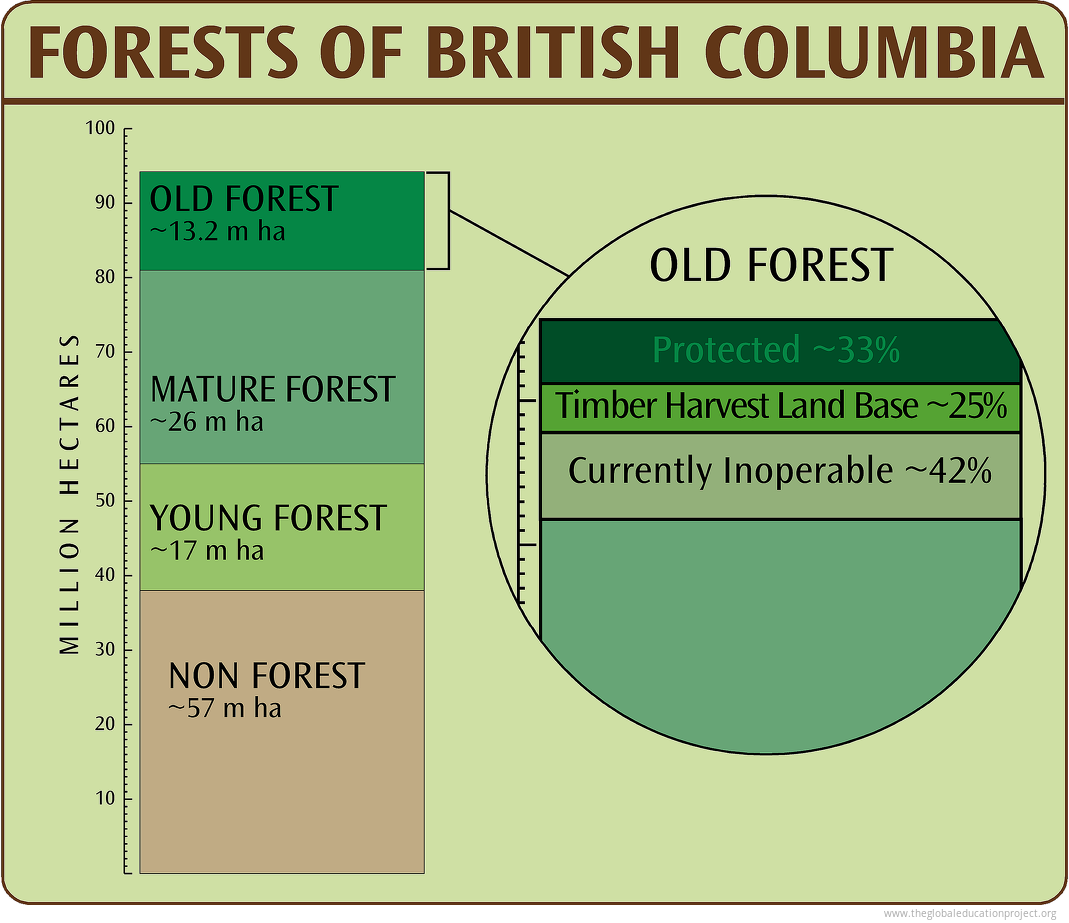 Chart of Forests of British Columbia - The Global Education Project