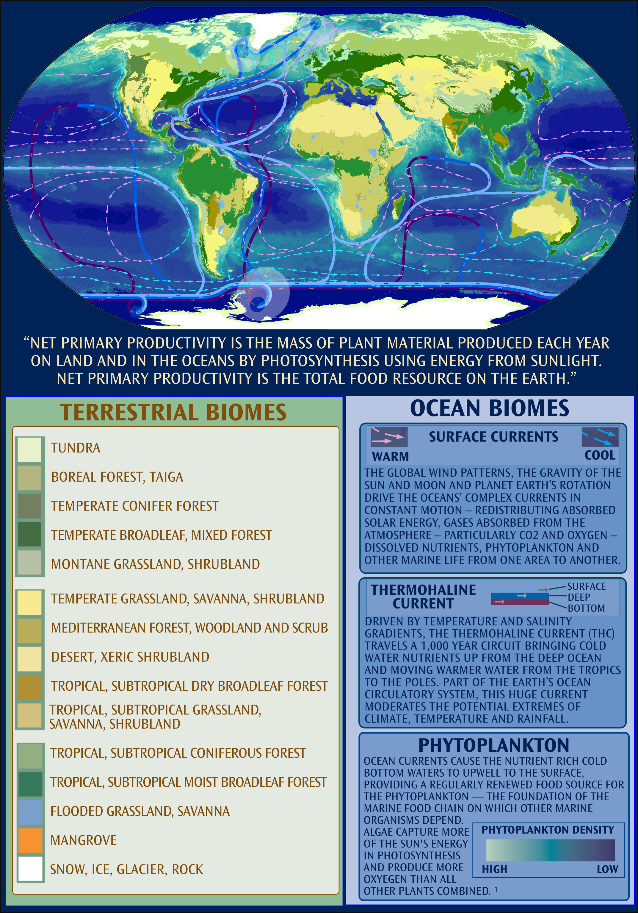 Map of Terrestrial and Ocean Biomes - The Global Education Project