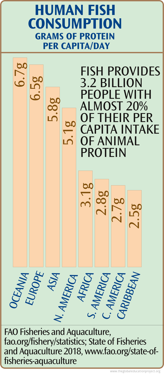 Chart of Fish Consumption By Region - The Global Education Project