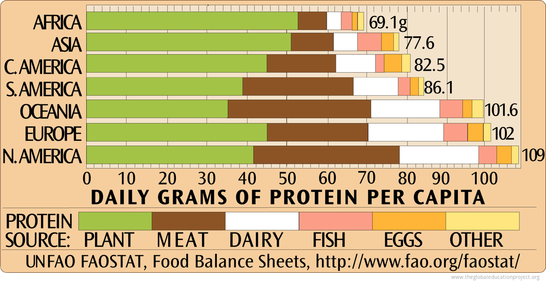 Chart of Protein Sources by Region - The Global Education Project