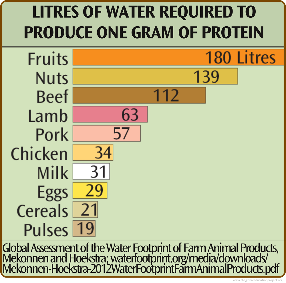 Chart of Water Required by Food Type - The Global Education Project